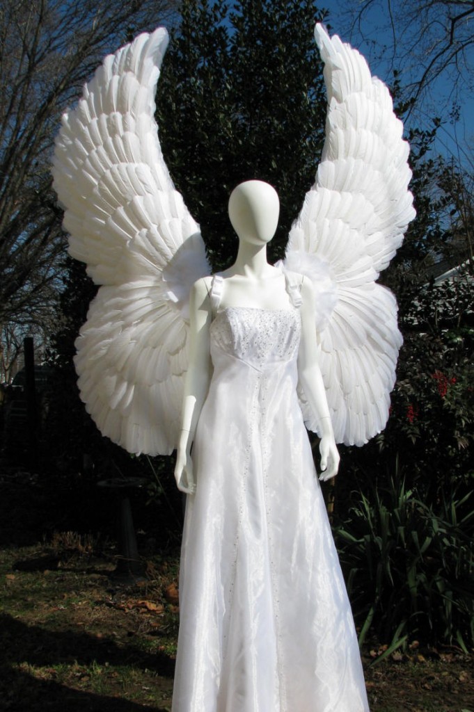 Angel Wings Costumes (for Men, Women, Kids) | PartiesCostume.com